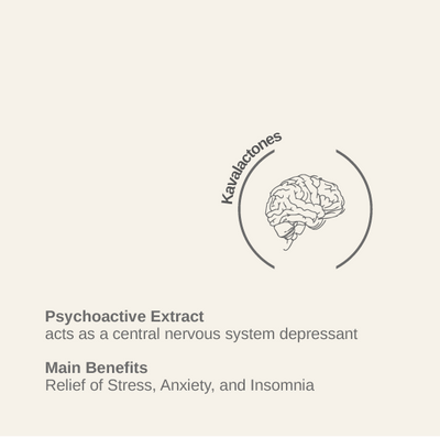 BASHI | A Kava Experience