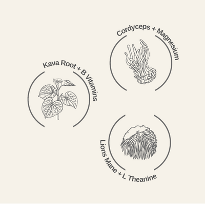 BASHI | A Kava Experience